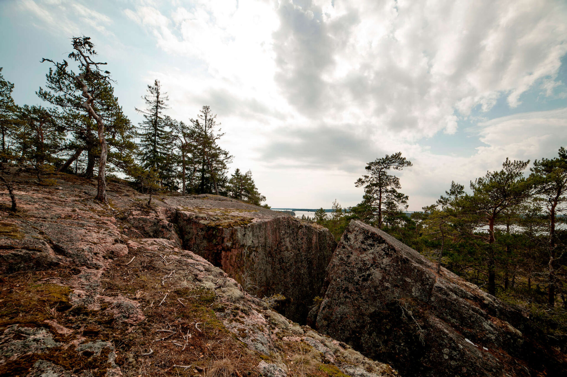 Salon luonnonluolat - Salon Luonnonmetsäsäätiö