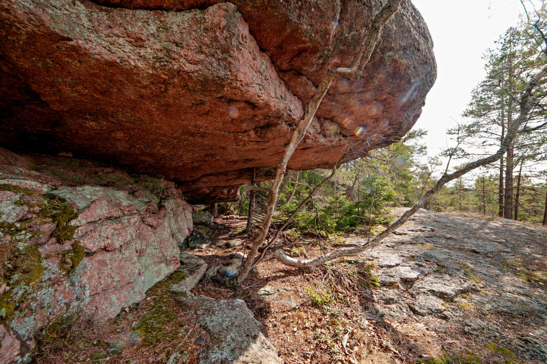 Salon luonnonluolat - Salon Luonnonmetsäsäätiö